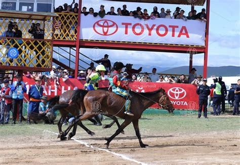 АХ ын 100 10 жилийн ойд 11 30 д хурдалсан их насны морьд