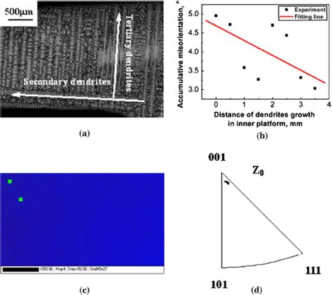 Evolution Of Dendritic Structure And Accumulated Misorientation In The