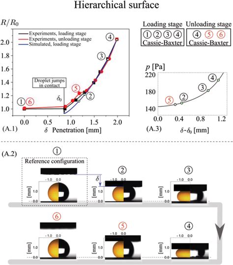 experimental and simulation results of macroscopic static and dynamic