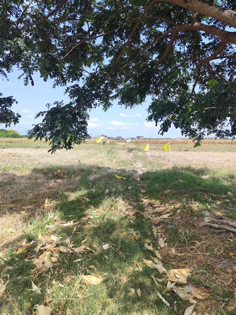 Geoid Engineering And Surveying Services San Fernando