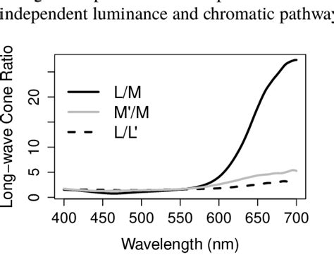 Ratio Of Average Long To Middle Wavelength Sensitive Cone Spectral
