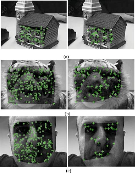 figure 1 from scale invariant optical ow in tracking using a pan tilt