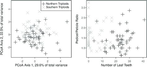 Morphological Variation In Triploid Groups Left Pca Of Seven