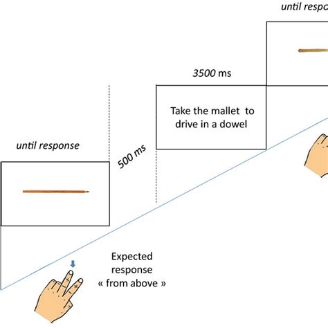 Procedure Of The Tool Use Judgment Task Download Scientific Diagram