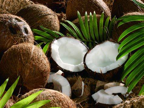 조향사 크리드 버진아일랜드 워터 13년 사용 리뷰후기지속력 잔향