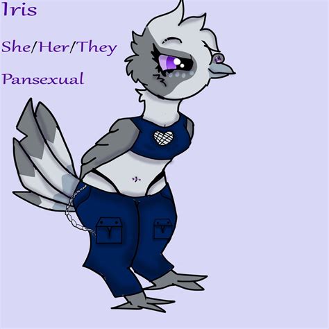 Meet My New Gray Jay Fursona Iris Rfurry