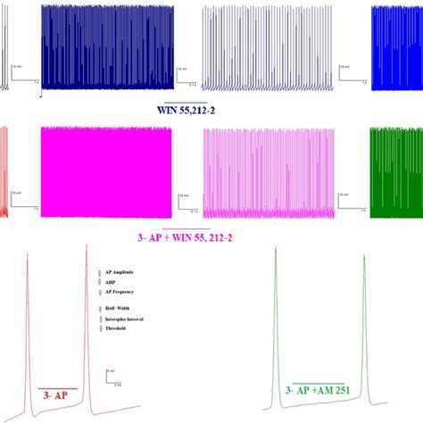 Representative Traces Of Spontaneous Firing From Control And Cb1r
