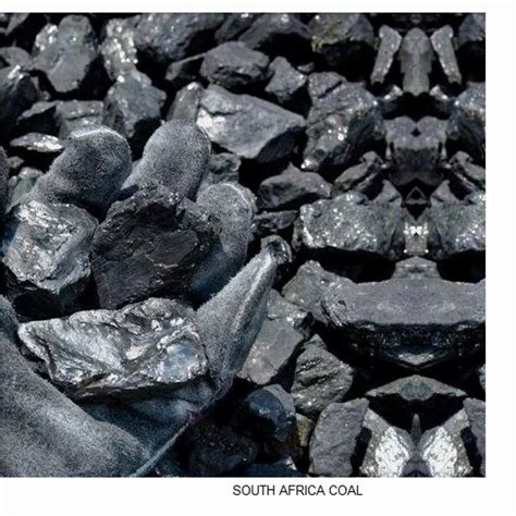 Industrial Sized Coal 5000 At Best Price In Nagpur Id 2856442326455
