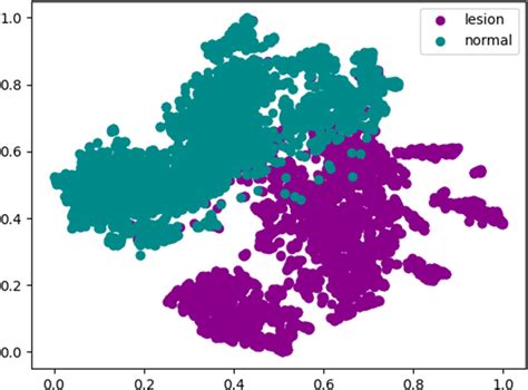T Sne Plot Demonstrating Cluster Assignment Of The Cnn Model
