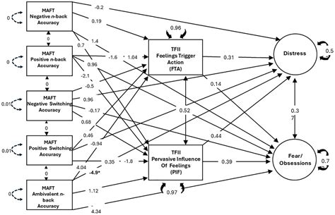 Frontiers The Memory And Affective Flexibility Task A New Behavioral Tool To Assess