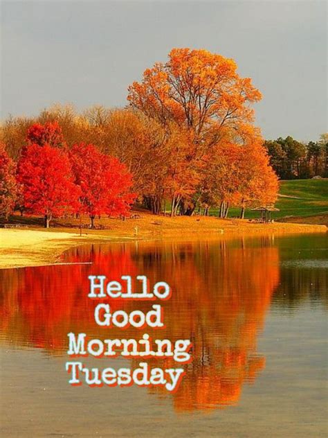 Hello Good Morning Tuesday By The Lake