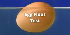 Egg Float Test Myths Procedure Chart Hypothesis Vs Reality
