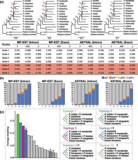 Short Successive Internal Branches And Gene Tree Topology Distribution