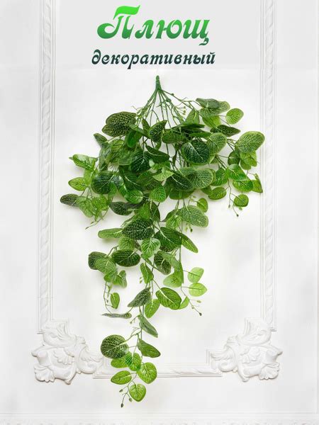 Купить Лиана для декора свисающая зелень плющ по выгодной цене в интернет магазине