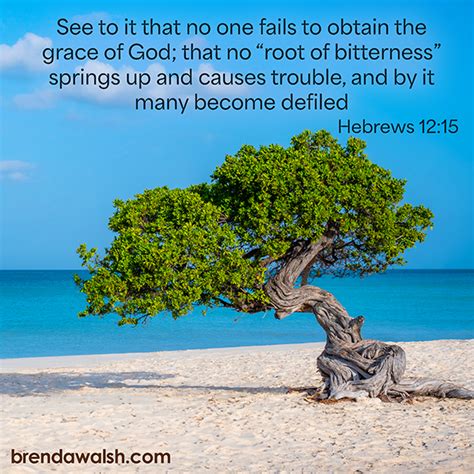 Beware Of Bitterness Brenda Walsh Scripture Images