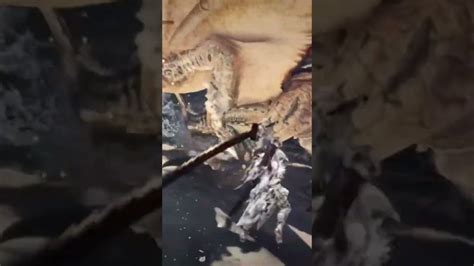 Monster Hunter World Mhw Monsterhunter Monsterhunterwilds Mhrise