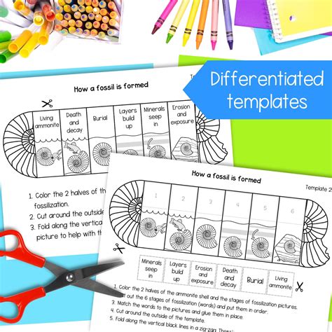 How A Fossil Is Formed Printable Craft Activity And Sequencing Cards Pdf For Earth Science Third