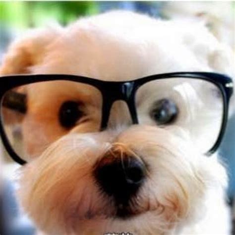 Kwon Hees Music Collection Youtube