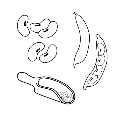 Leguminosas Para Colorear