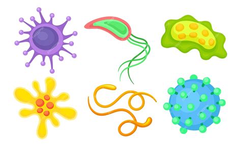 Colorful Bacterias And Germs Collection Different Species Of Microbes