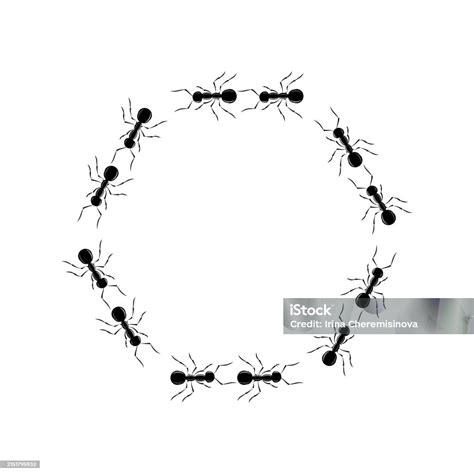 개미 도로 와 의 육각형 모양 정지 전망 디자인 벡터 일러스트 레이 션 절연 통하고 있는 백색 배경 개미의 트레일 라인 커브가 줄지어 있습니다 해충 방제 또는 곤충 검색