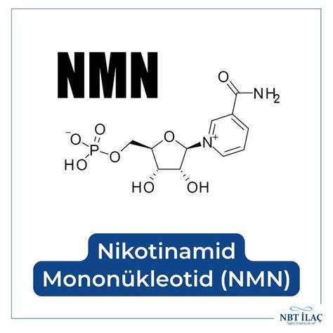Nikotinamid Mononükleotid Nmn Nbt İlaç
