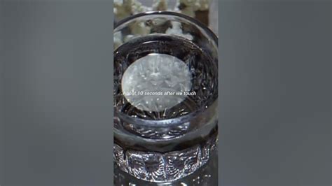 ვინ გიყვართ ყველაზე მეტად 💙ემმა💙 💛ბელა💛 ️რიკი ️ თუ 💜კლეო💜 Youtube