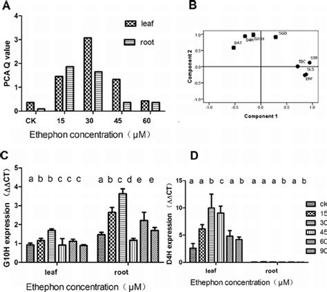 Relative Expression Levels By Qpcr Of Selected Tia Pathway Genes