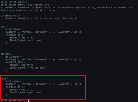 46 Oracle 19c Connecting To The New Pdb