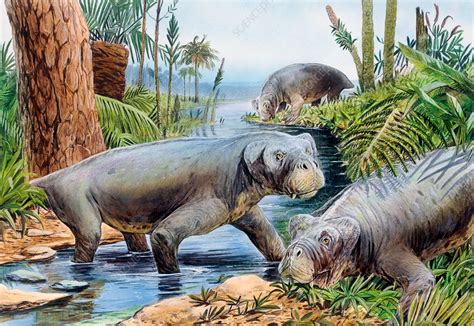 Lystrosaurus Illustration Stock Image C0375009 Science Photo