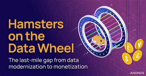 Are You A Hamster On The Data Wheel How You Can Overcome The Last Mile