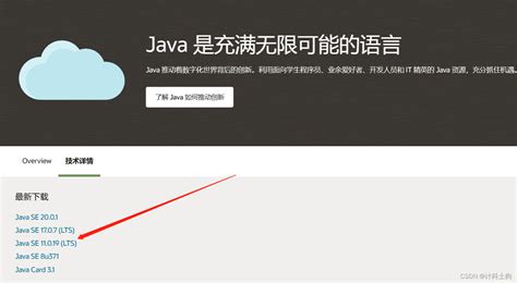 Java开发入门 第一章 一填空题l java是一种面向的语言 它是由sun公司 已被oracle公司收购级程序 CSDN博客