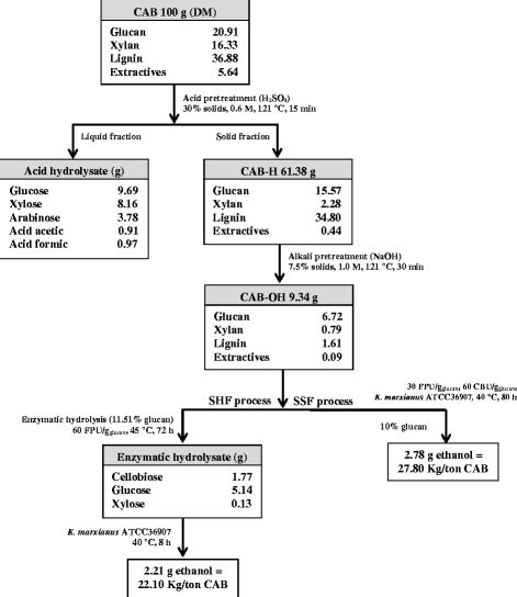 Simultaneous Saccharification And Co Fermentation For 54 Off