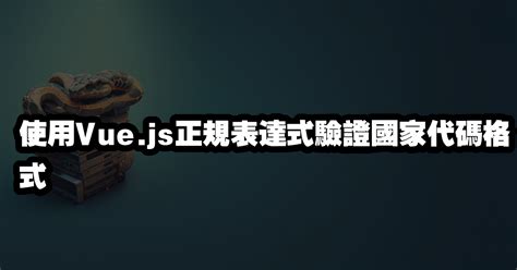 使用 Vue js 正規表達式驗證國家代碼格式的完整指南2025 最新語法與最佳實踐 加密零二八