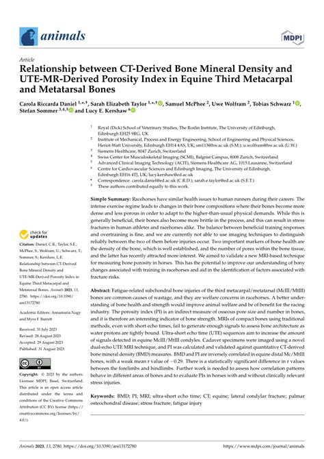 Pdf Relationship Between Ct Derived Bone Mineral Density And Ute Mr Derived Porosity Index In