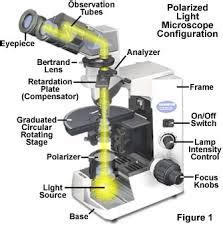 Know About The Polarized Light Microscope Assignment Point