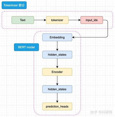 预训练语言模型 知乎
