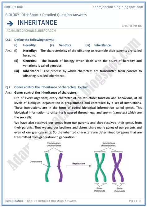 Adamjee Coaching Inheritance Short And Detailed Answer Questions Biology 10th