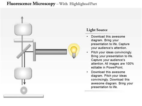 Fluorescence Microscopy Medical Images For PowerPoint Templates PowerPoint Presentation