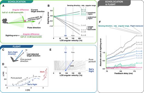 Bats Integrate Multiple Echolocation And Flight Tactics To Track Prey