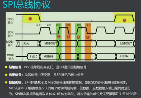 Spi总线详解 Csdn博客
