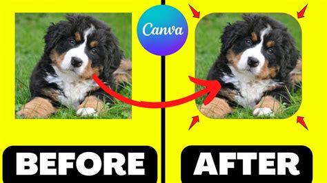 How To Round Corners Of Picture In Canva At Bryan Northern Blog