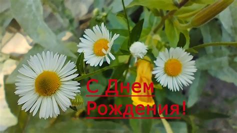 Поздравление с Днем Рождения Видео открытка Youtube