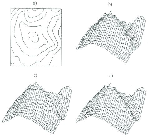 dmr display made with different interpolation algorithms a isohypse