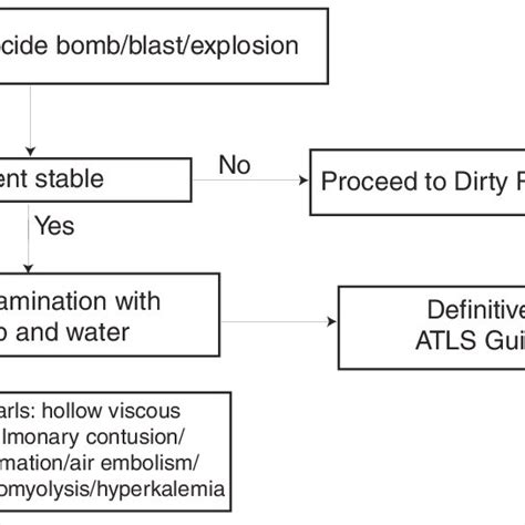 Radiation Dispersal Device Algorithm Download Scientific Diagram