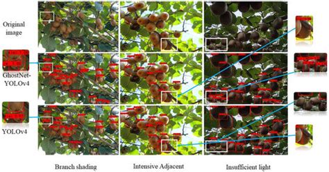 Kiwifruit Detection Method In Orchard Via An Improved Light Weight Yolov4