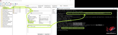 SOLVED New Certificate Not Appearing In IIS Bindings Up Running Inc Tech How To S