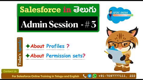 Salesforce Admin Session 3 Profiles Permission Sets Salesforce In Telugu