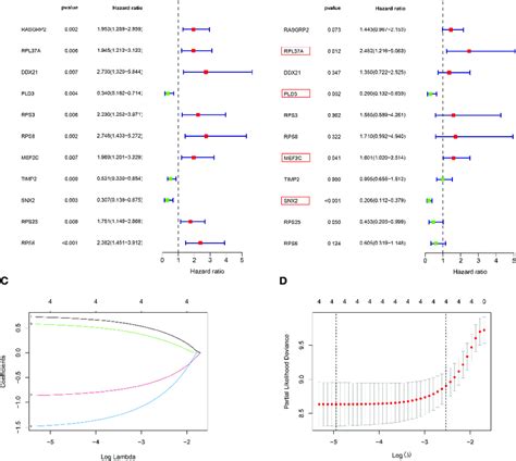 Construction Of A Risk Scoring Model For Patients With Osteosarcoma