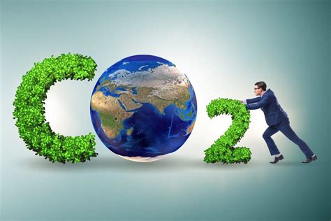How Much Carbon Dioxide Does A Tree Absorb Per Day Energy Theory